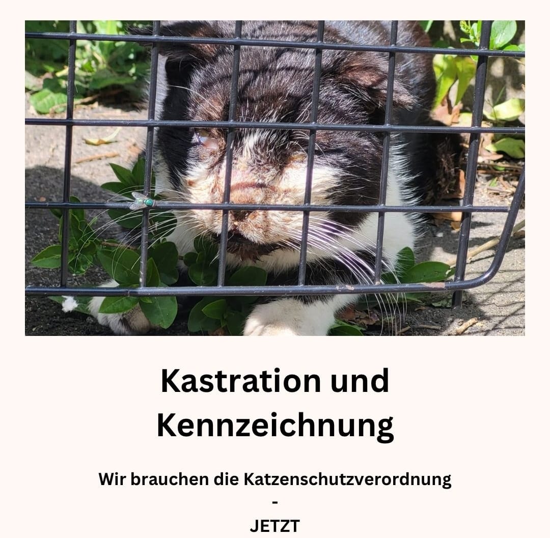 Augenöffner: Neuer trauriger Fund Augenöffner: Neuer trauriger Fund